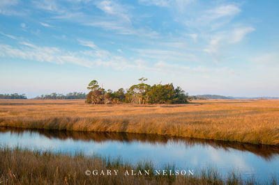 Southeast | Gary Alan Nelson Photography