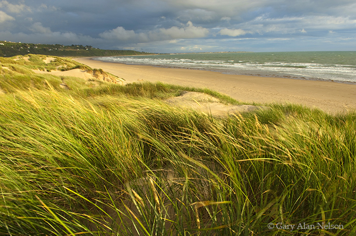 Beach, Grasses and Clouds | Harlech, Wales | Gary Alan Nelson Photography