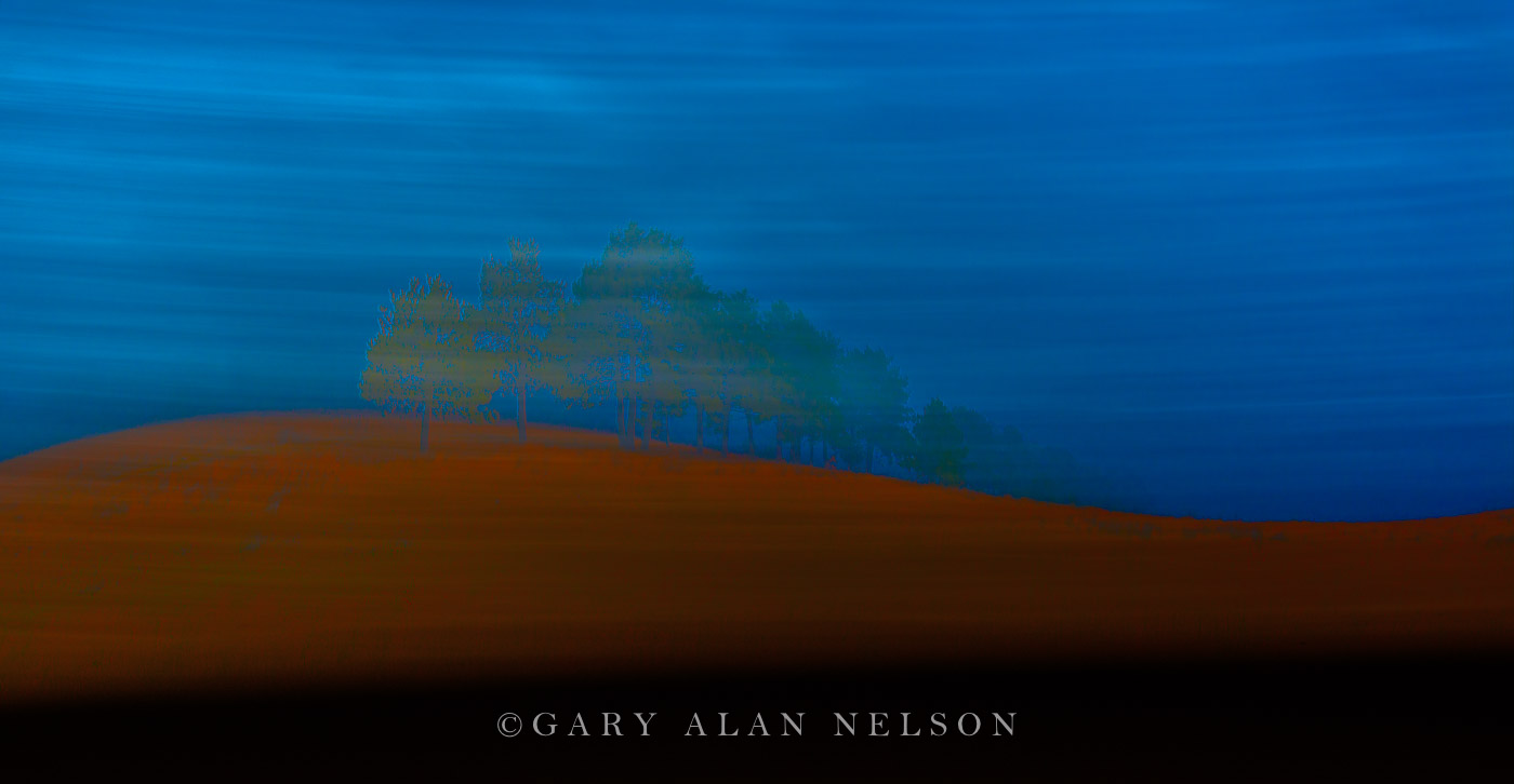 Gary Alan Nelson Photography