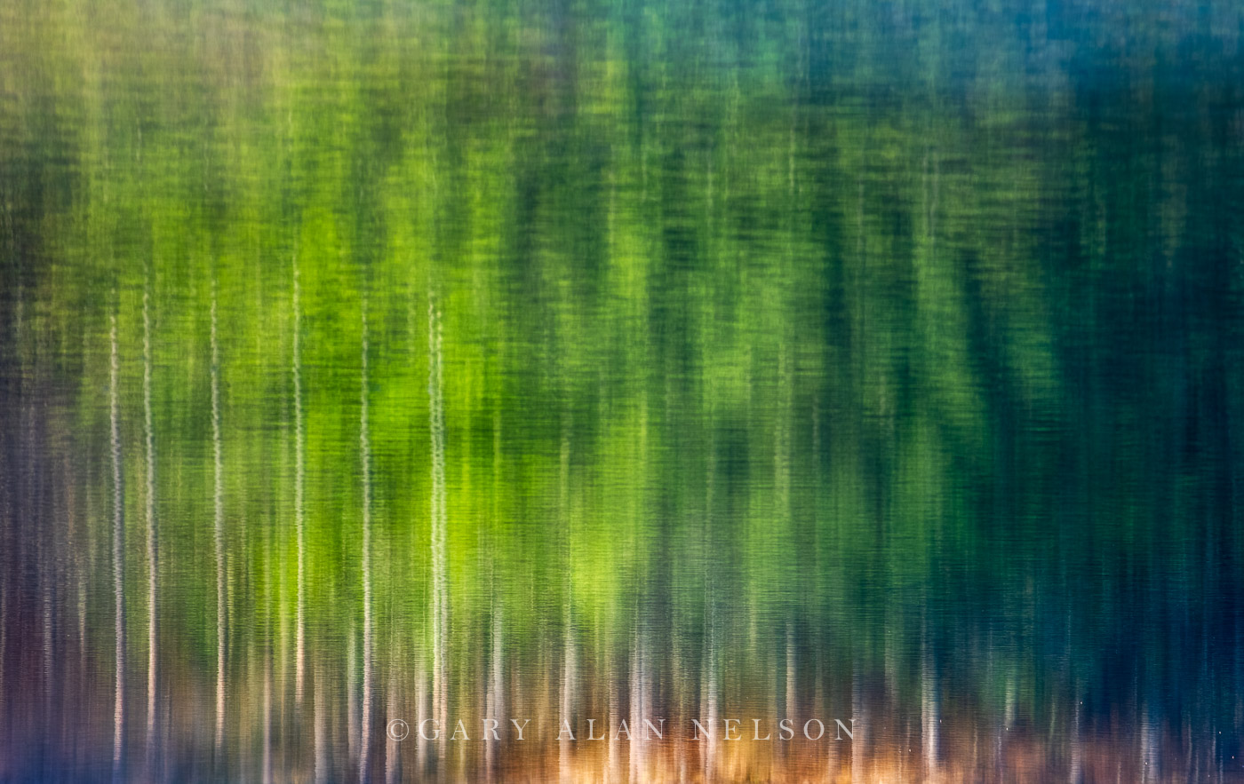 Gary Alan Nelson Photography