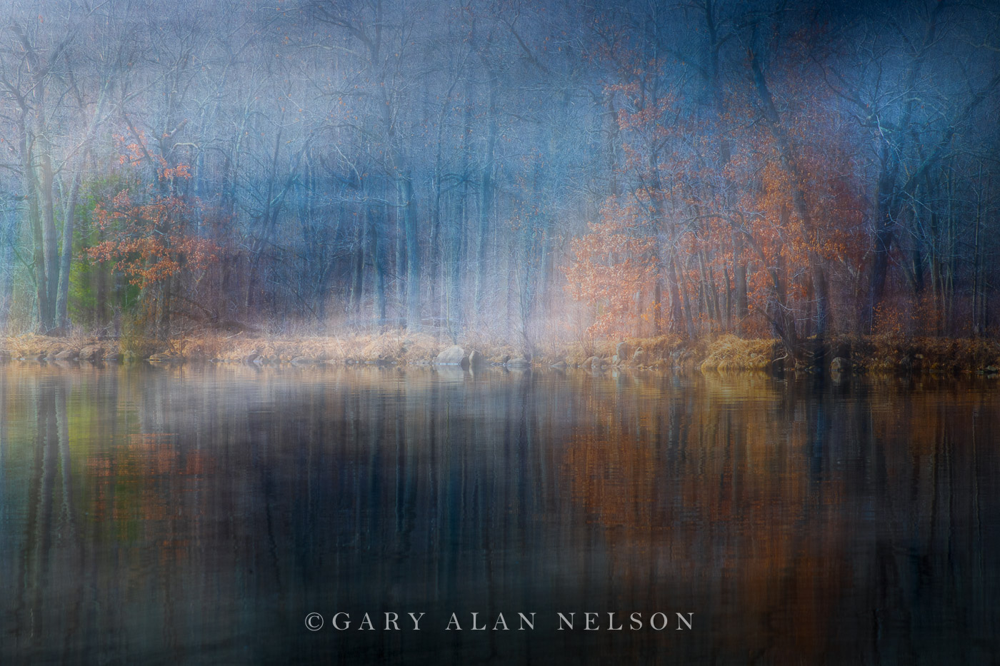 Gary Alan Nelson Photography