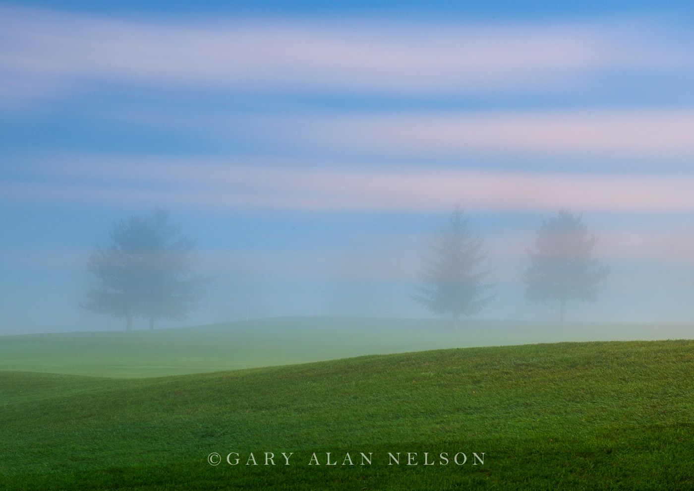 Gary Alan Nelson Photography