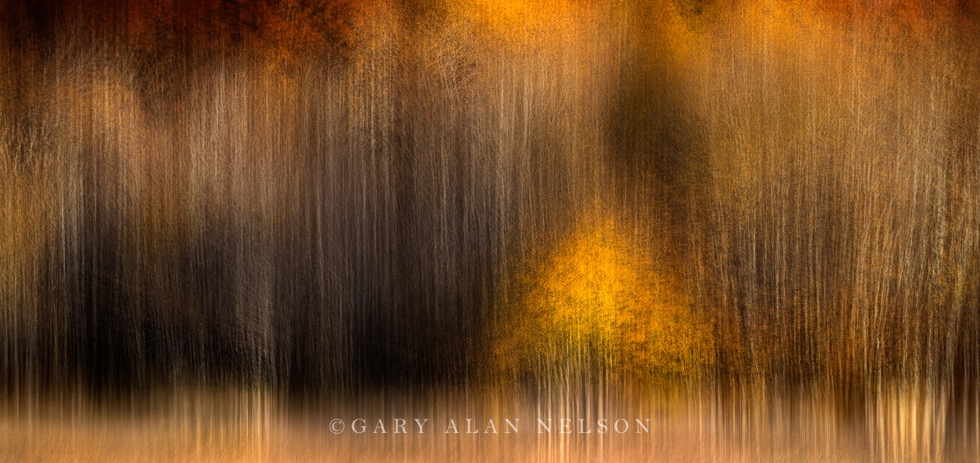 Gary Alan Nelson Photography