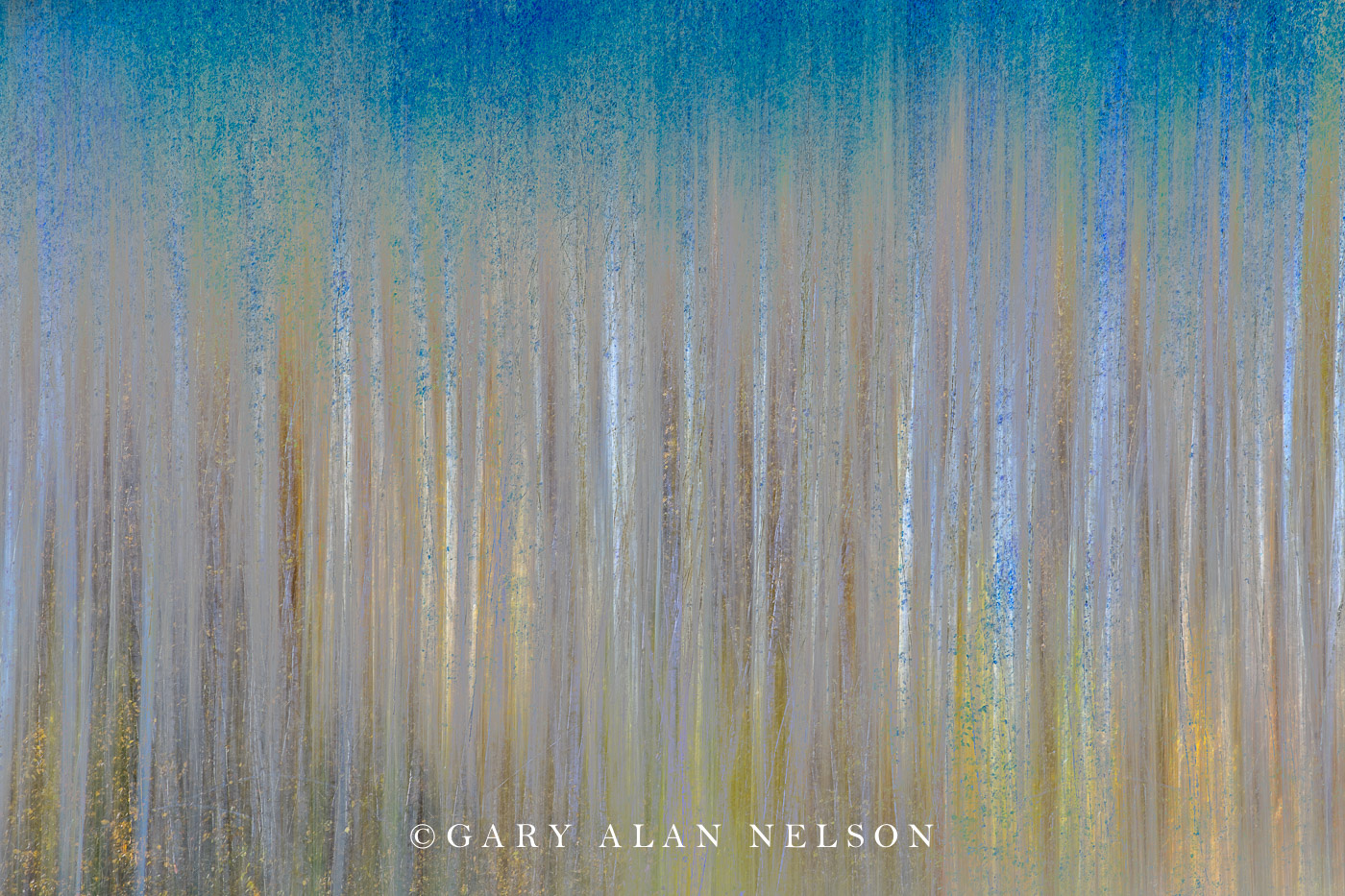 Gary Alan Nelson Photography