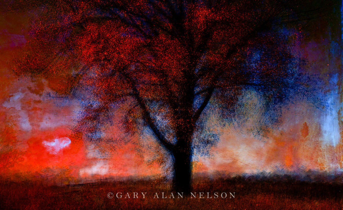 Gary Alan Nelson Photography