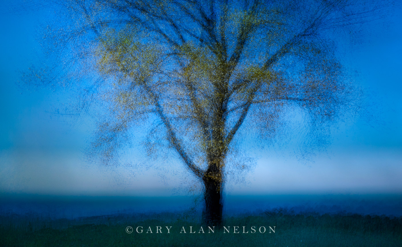 Gary Alan Nelson Photography