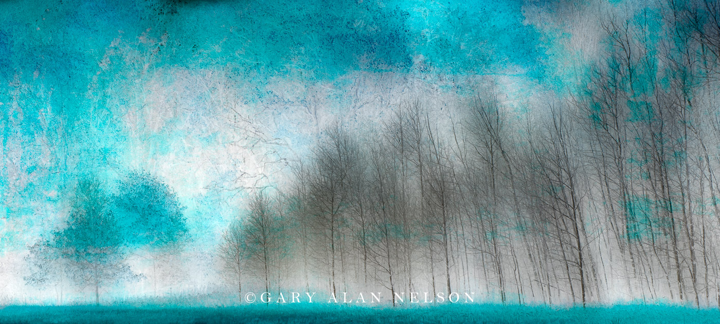 Gary Alan Nelson Photography