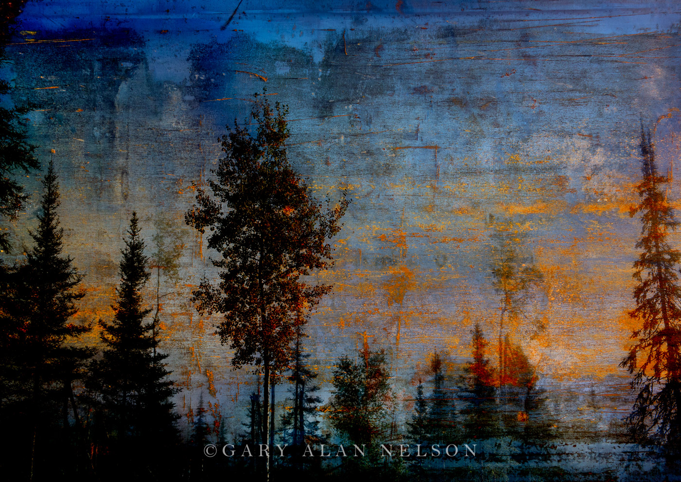 Gary Alan Nelson Photography