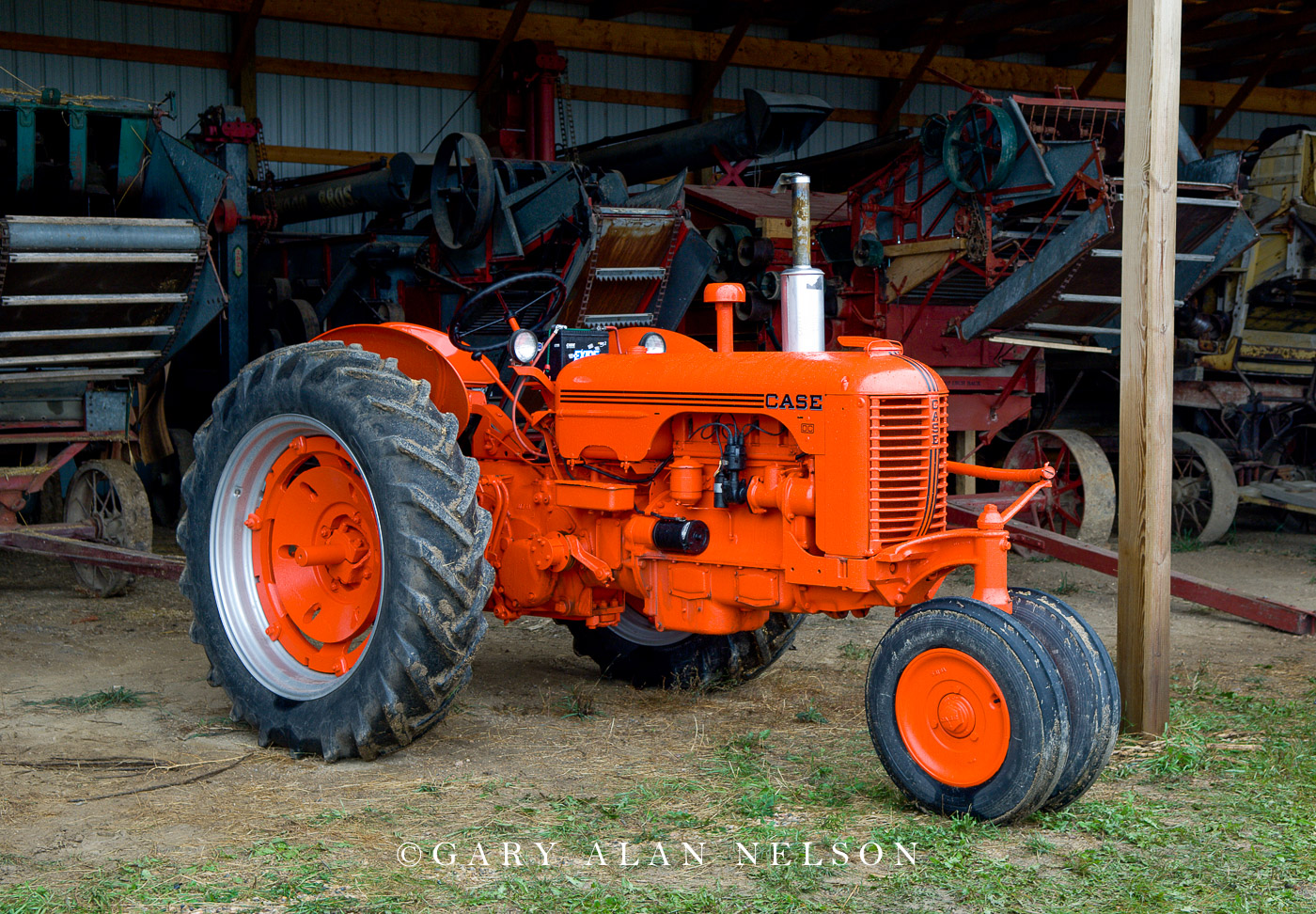 Case DC | AT-06-41-CA | Gary Alan Nelson Photography