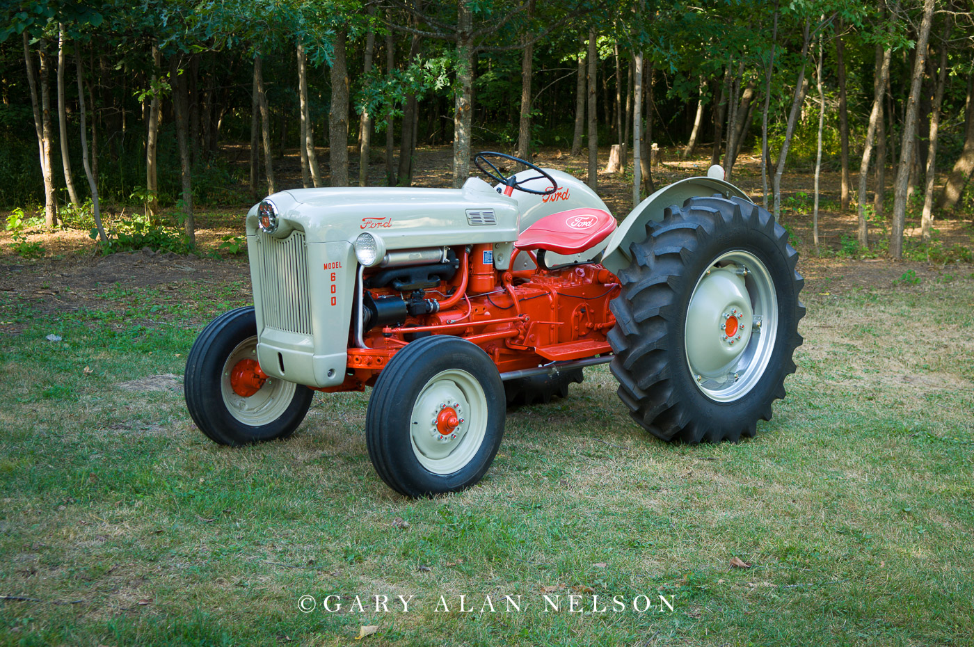 1955 Ford 640 | AT-07-30-FO | Gary Alan Nelson Photography