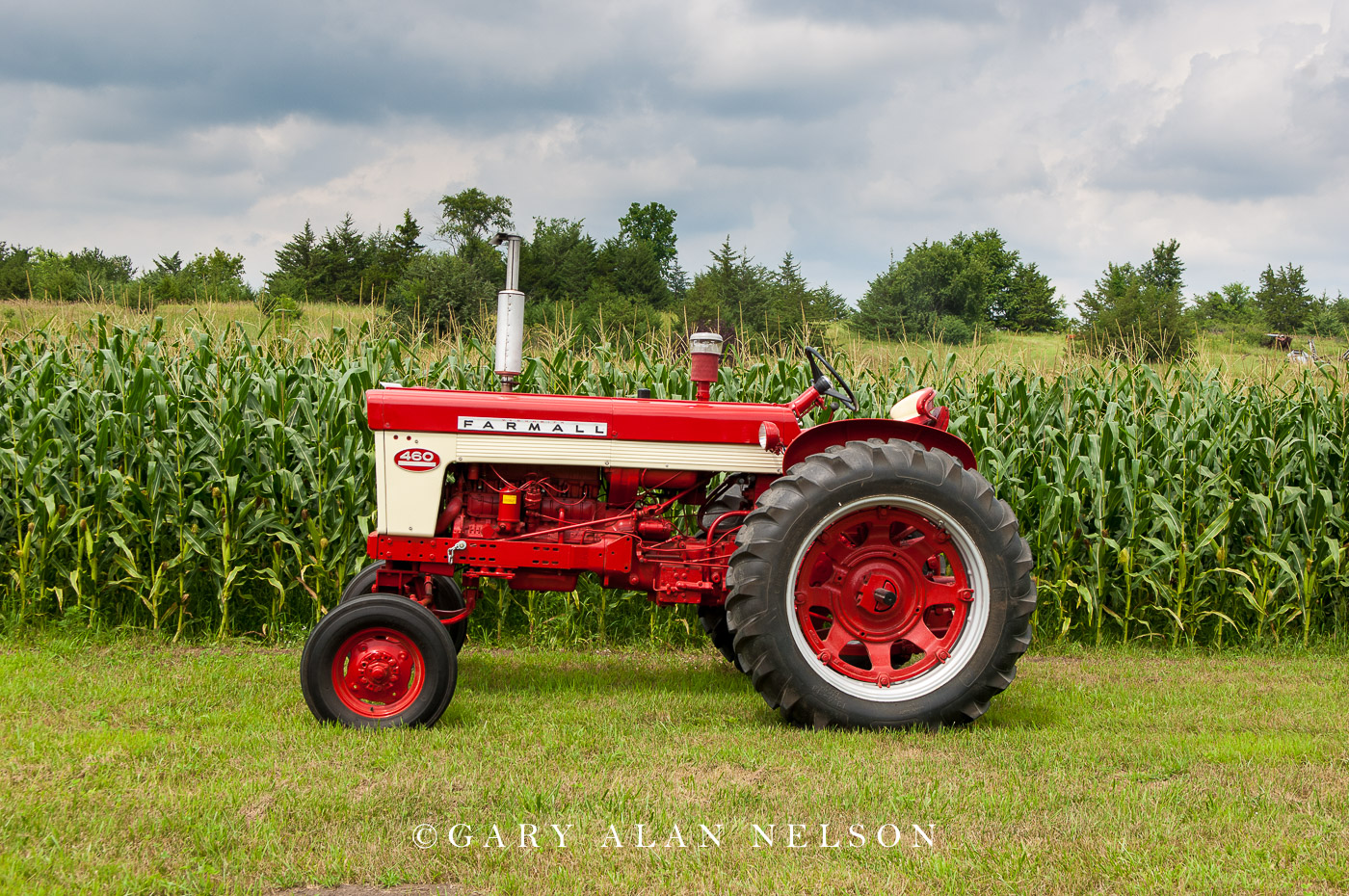 1962 Farmall 460 | AT-11-15-FA | Gary Alan Nelson Photography
