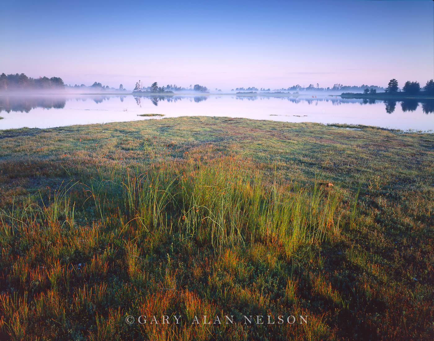 Fog on the Refuge | Seney National Wildlife Refuge, Michigan | Gary ...