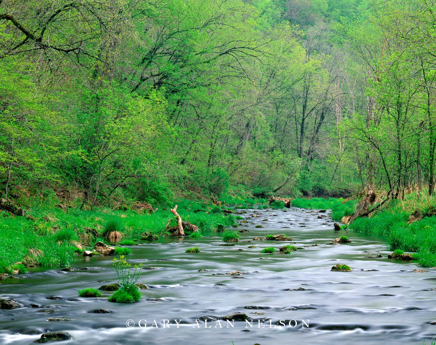 Spring on the Whitewater River | Whitewater State Park, Minnesota ...
