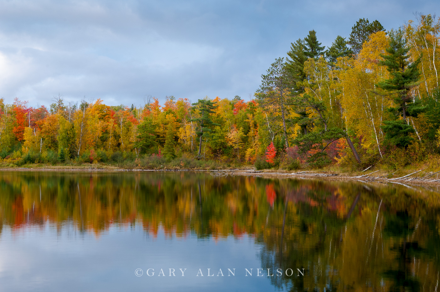 Surprise Lake | Chippewa National Forest, Minnesota | Gary Alan Nelson ...