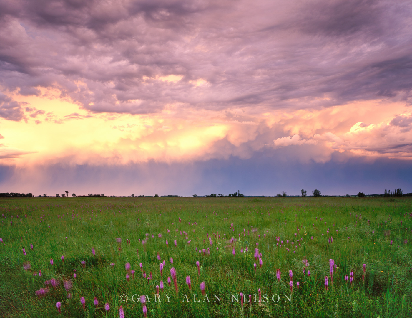 Storm over Prairie | Minnesota | Gary Alan Nelson Photography