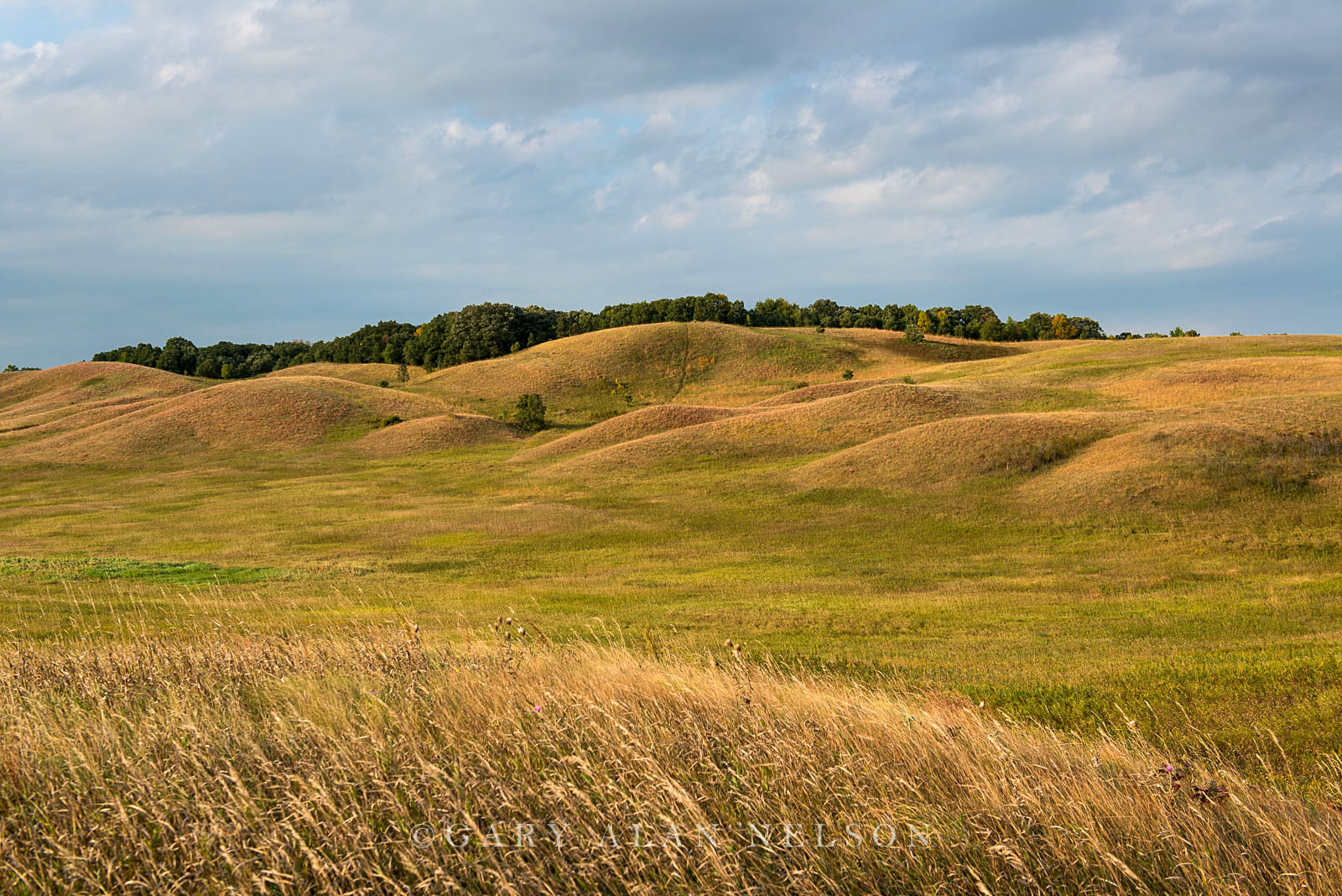 Rolling glacial moraine on the prairie | MN-17-124-SP. | Gary Alan ...
