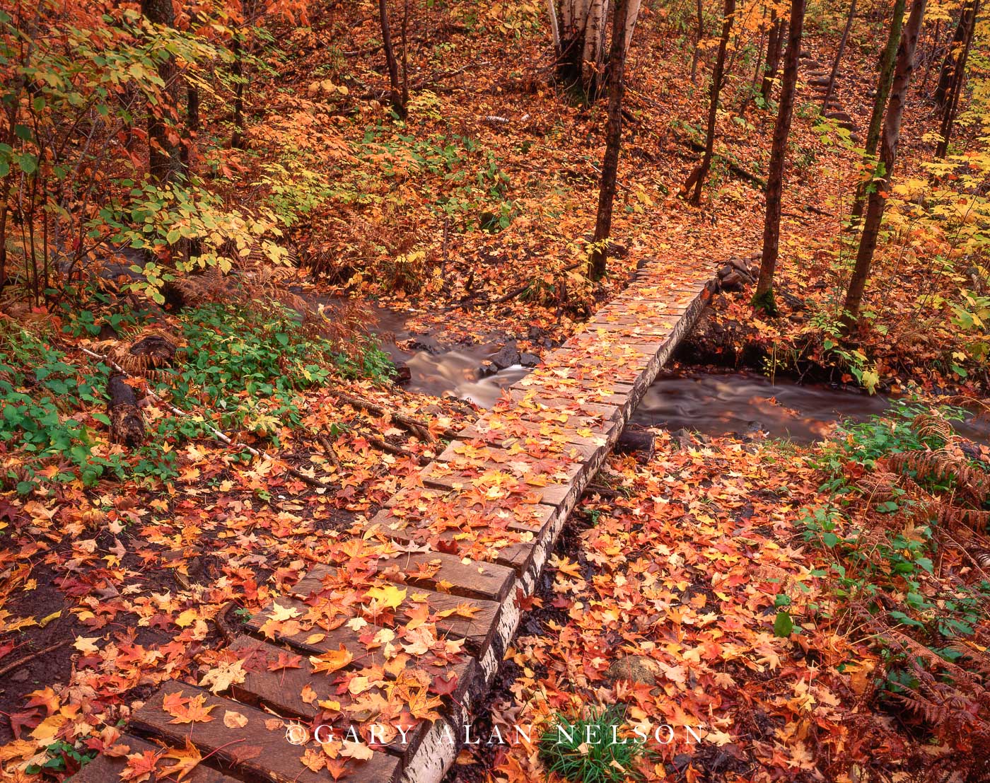 Superior Hiking Trail | Sawtooth Mountains, Minnesota | Gary Alan ...
