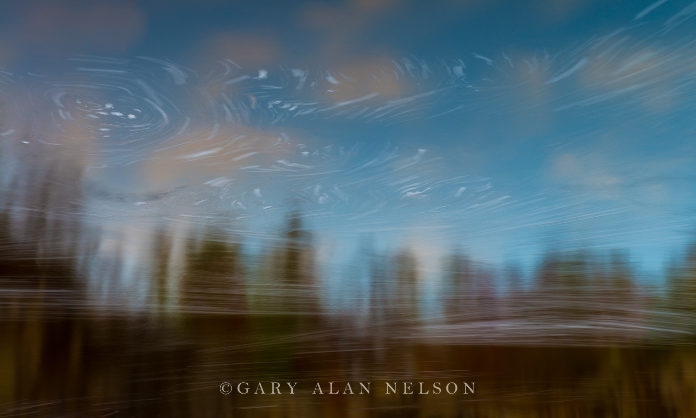 River Reflections | MN14508 | Gary Alan Nelson Photography