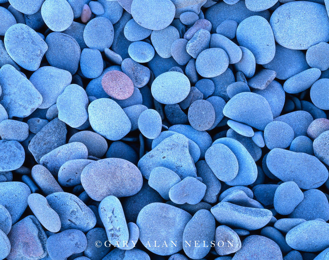 Surf Rounded Stones | Bay of Fundy, New Brunswick, Canada | Gary Alan ...