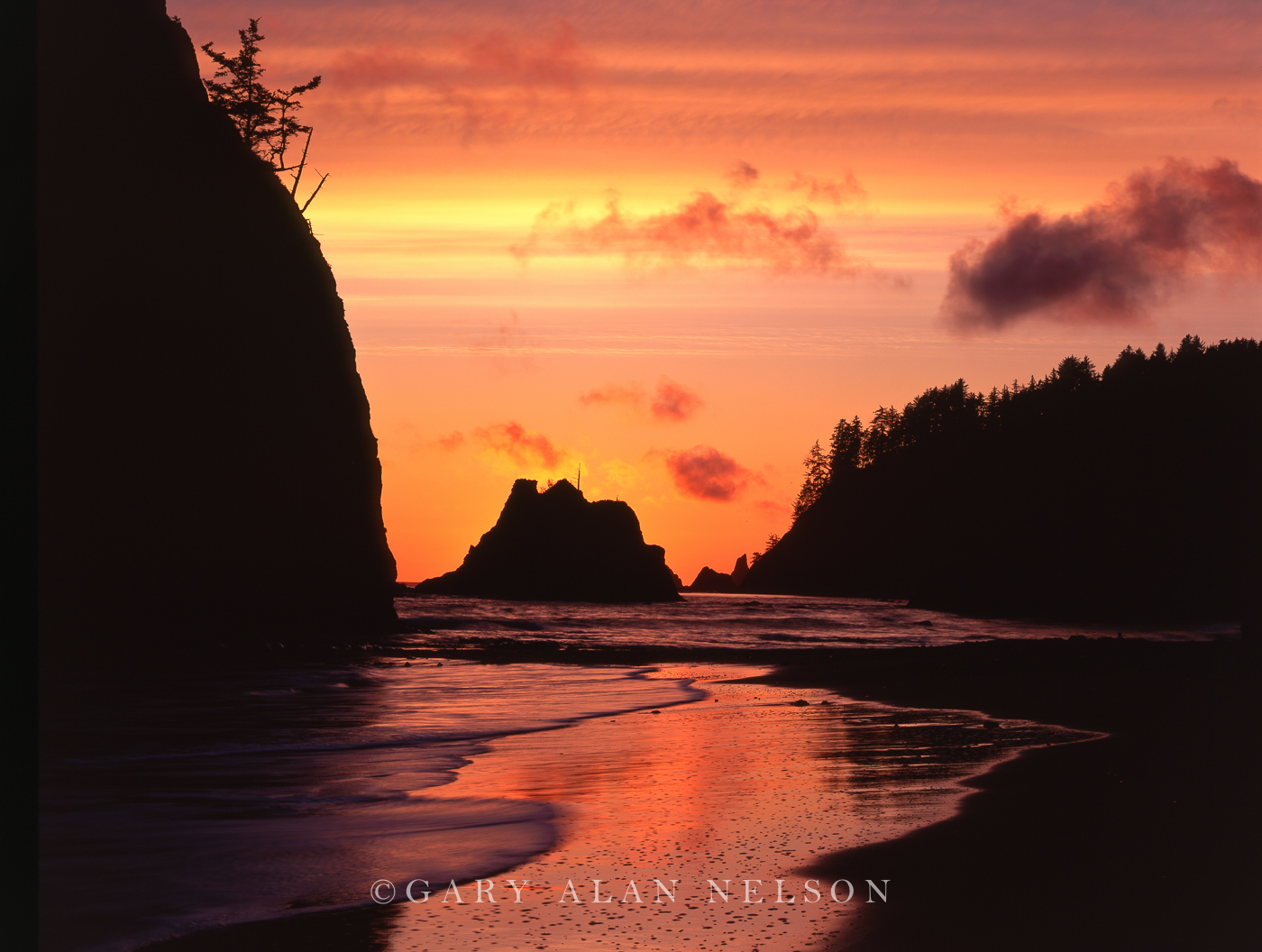 Pacific Coast at Sunset | Olympic National Park, Washington | Gary Alan ...