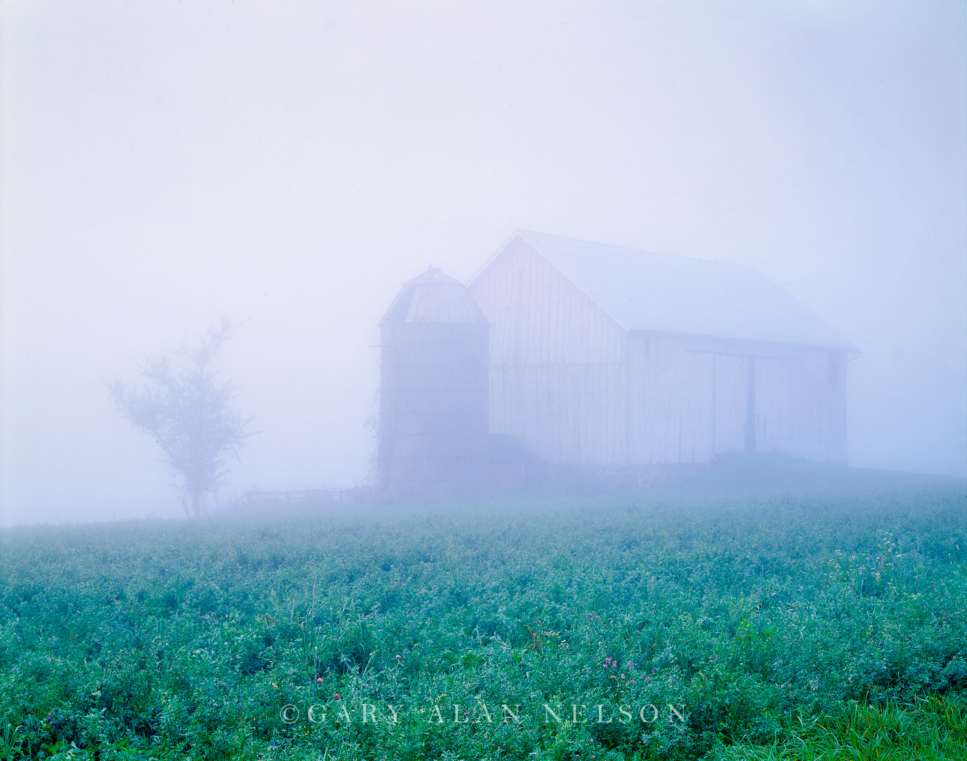 Fog and Barn | Monroe County, Wisconsin | Gary Alan Nelson Photography